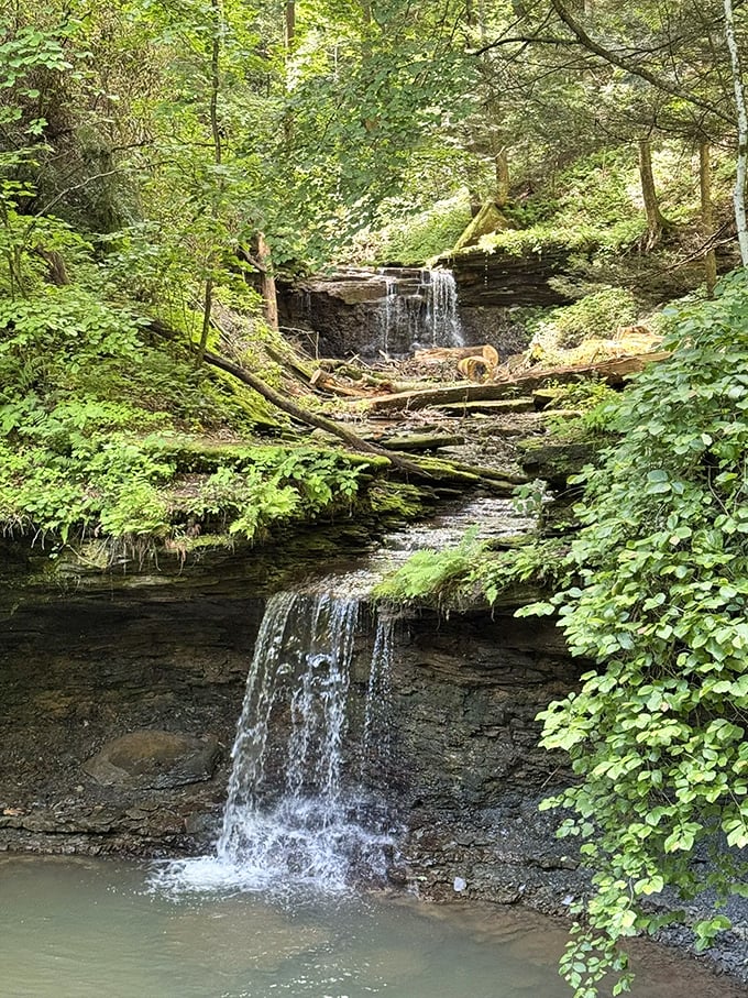 Double the falls, double the magic &ndash; these twin cascades perform a synchronized water ballet that would make Olympic judges swoon.