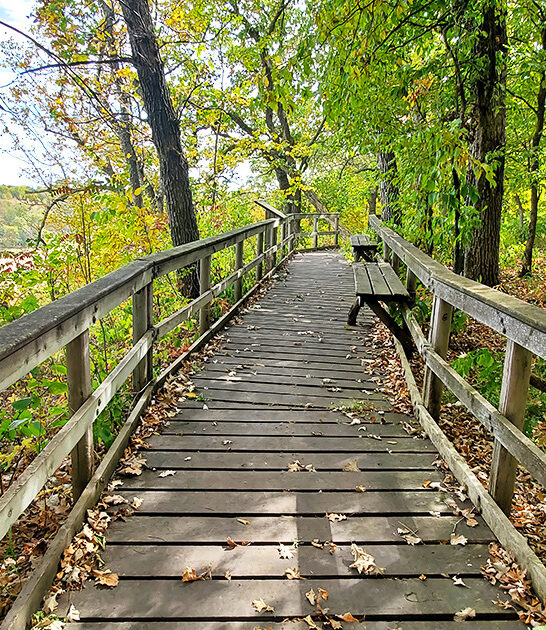 548 acre park minnesota ftr