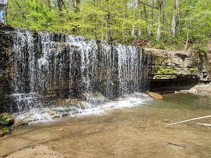 Hidden Falls lives up to its name, tucked away in the forest like nature's best kept secret.