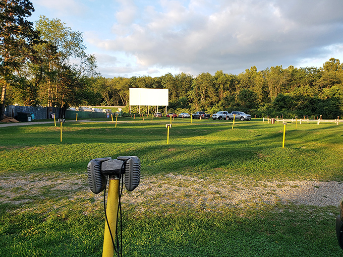 Lynn Auto Drive-In's screen stands ready against a backdrop of trees as the evening begins. That expansive green space gives kids plenty of room to play before showtime.