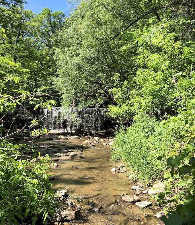Crystal clear water tumbles into a peaceful pool surrounded by the ancient Big Woods forest.
