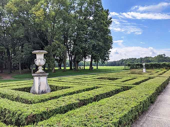 Allerton Park maze: Geometric perfection that makes you wonder: did the hedges agree to this arrangement, or was there some serious negotiation?