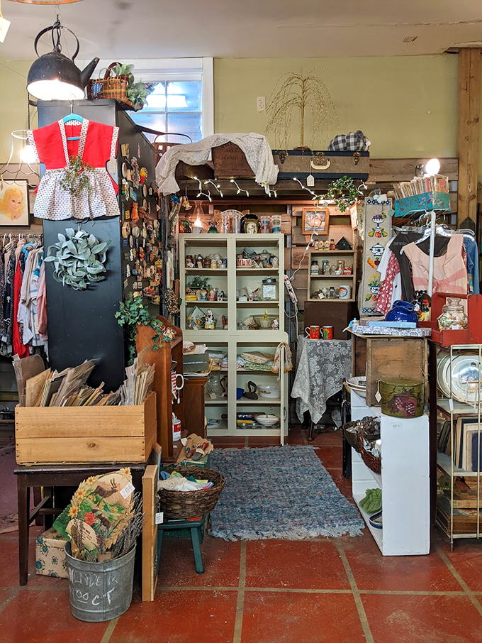 Shelves packed with vintage treasures create a collector's paradise, where every glance reveals another piece of history waiting to tell its story to someone who'll appreciate it.