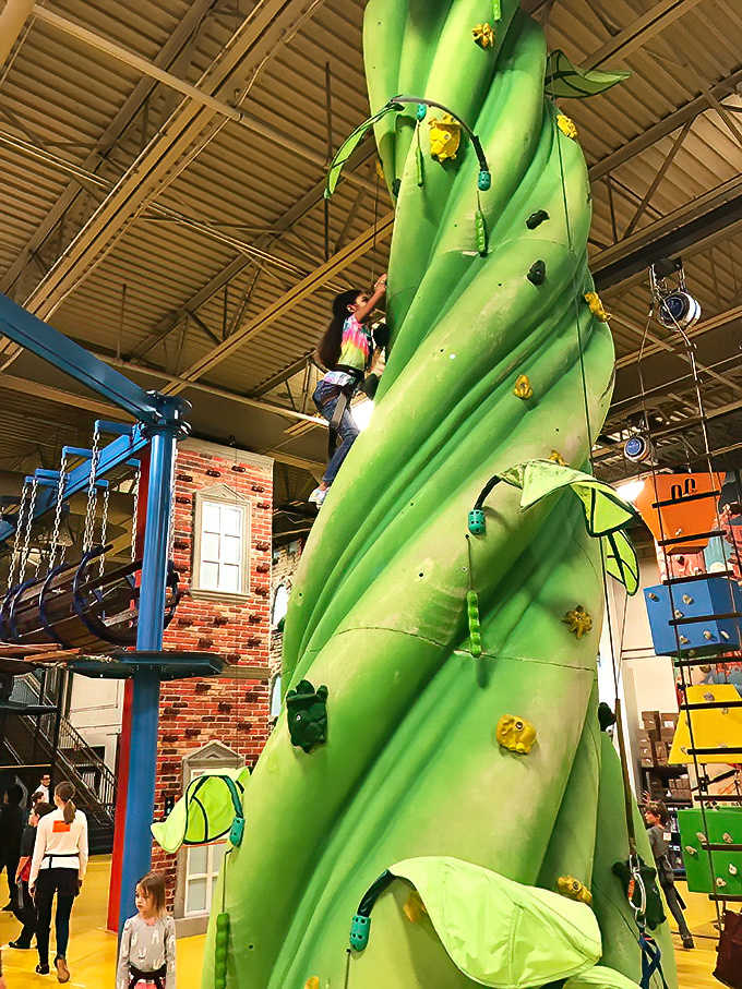 The beanstalk climbing feature towers green and inviting, Jack's famous fairy tale brought to life without the angry giant waiting at the top.