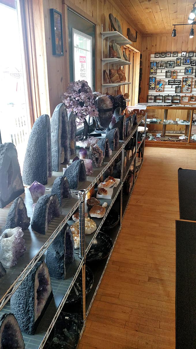 Walking these aisles feels like exploring a museum where everything's for sale and touching is actually encouraged, not forbidden.