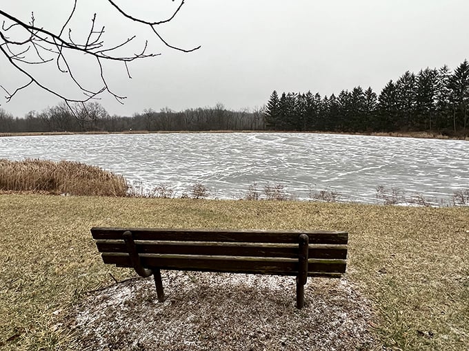Tranquility awaits at trail's end, where a solitary bench offers contemplation beside winter's frozen lake, mirroring the sky above.