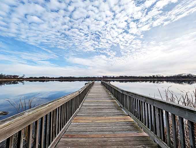 Boardwalk: This wooden pathway stretching over calm waters looks like the perfect spot for contemplating life's big questions or just what's for dinner.