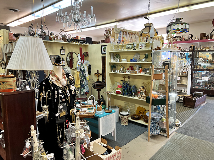 Boutique Display: Shoppers explore a carefully curated collection where vintage birdcages and antique furniture create a three-dimensional timeline of American design.