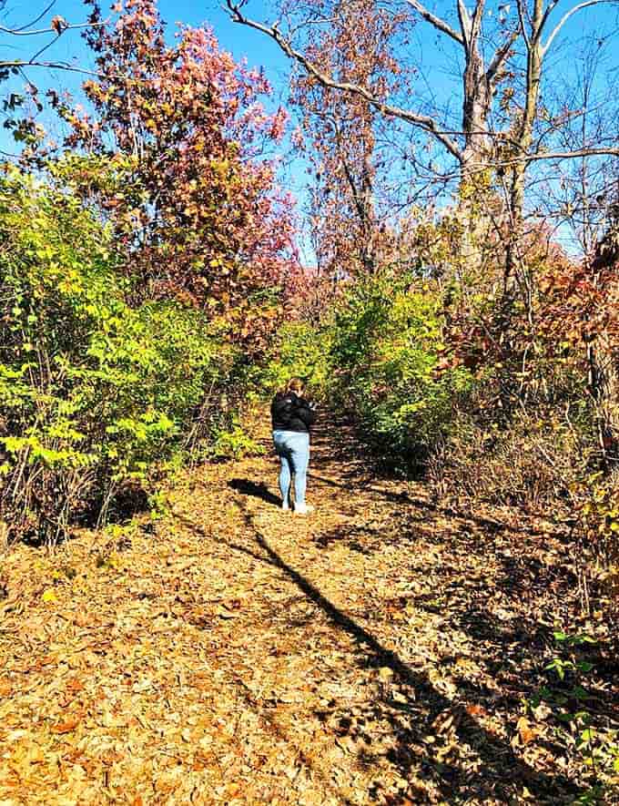 A solitary explorer discovers the joy of having wilderness nearly to themselves – Buffalo Rock's best-kept secret is its blissful lack of crowds.