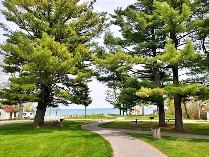 Majestic pines stand guard along winding paths, inviting visitors to explore while providing welcome shade on sunny Michigan afternoons.
