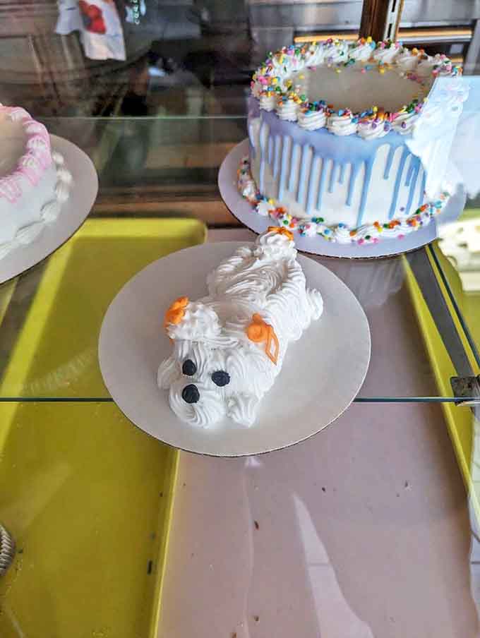 Custom cakes transform ordinary celebrations into extraordinary memories, one buttercream rose at a time.