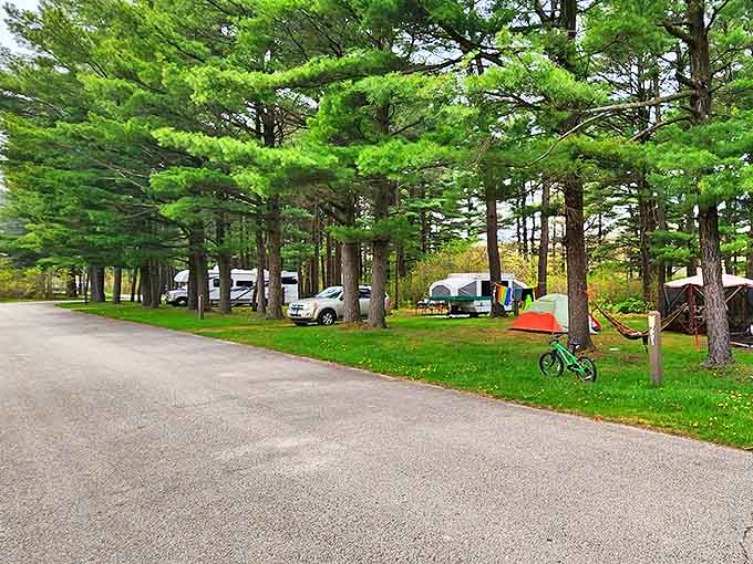 Camping nirvana: Tall pines stand sentinel over tents and trailers, their needles creating nature's perfect carpet for outdoor living.
