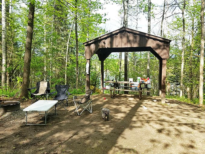 Camping nirvana: this sheltered picnic area offers a perfect basecamp for s'more construction and stargazing championships.