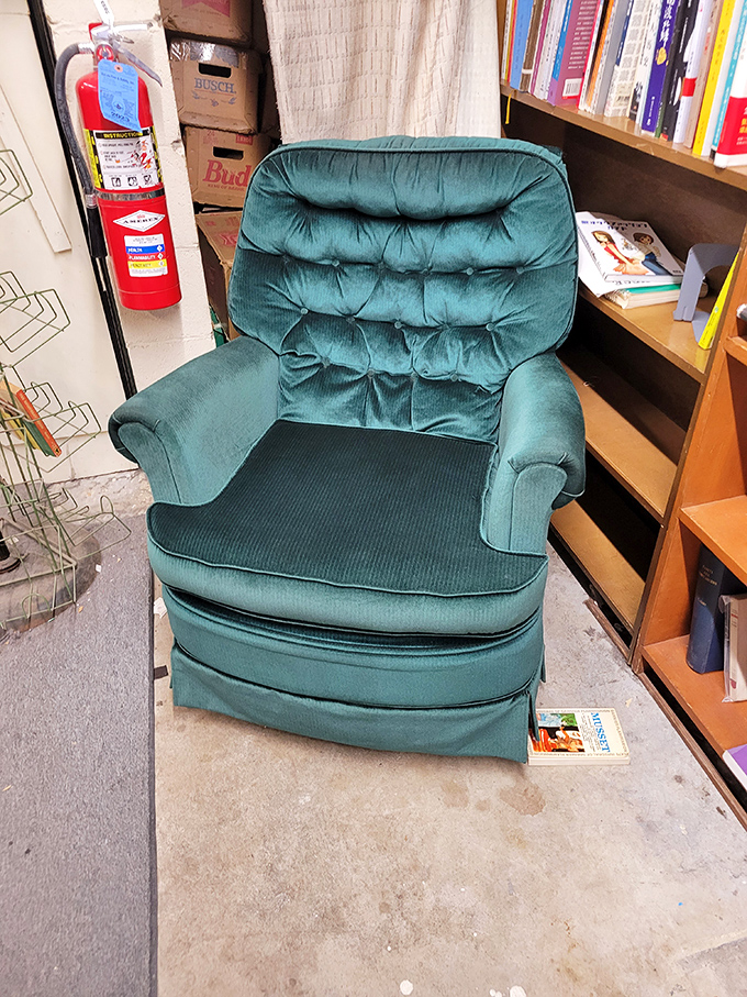 This inviting teal armchair has witnessed countless readers losing themselves in stories, a comfortable throne among literary subjects.