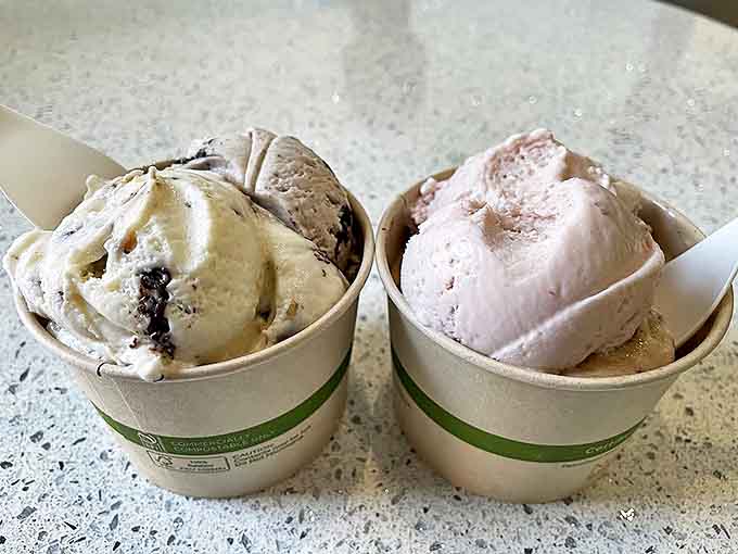 Two scoops sitting pretty side by side &ndash; cookies and cream alongside strawberry &ndash; proving that dairy-free doesn't mean flavor-free.