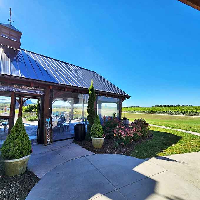 Gather 'round the tasting bar where strangers become friends over shared discoveries of cool-climate wines.