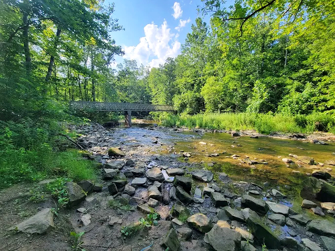 This rustic footbridge doesn't just cross the creek &ndash; it transports you into a world where deadlines and emails cease to exist.