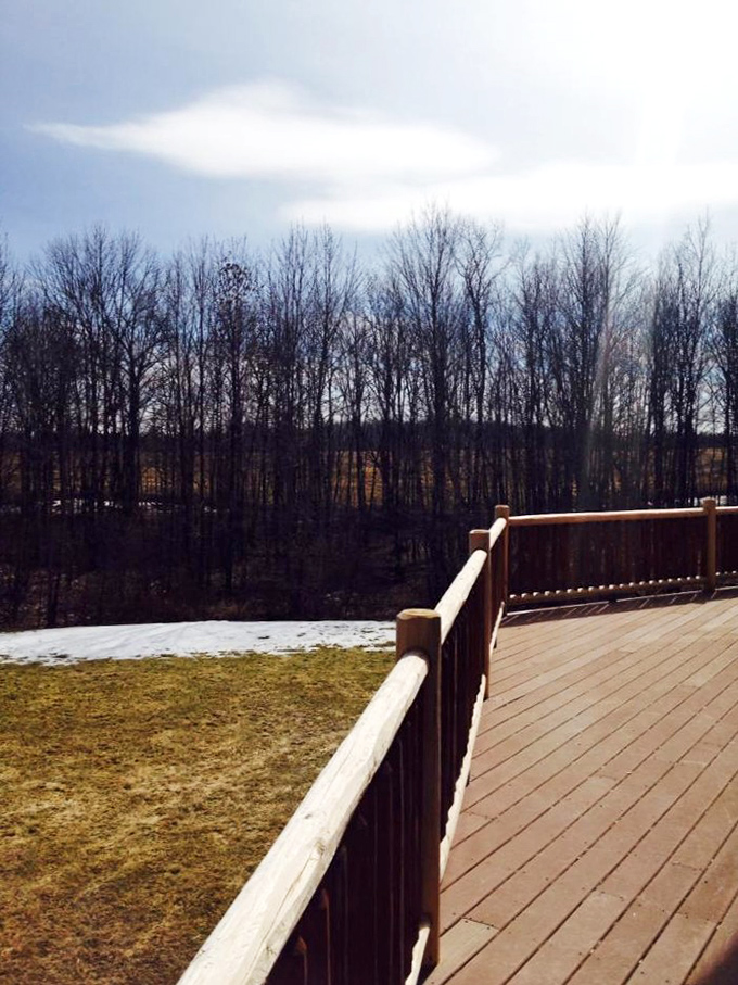 Morning reflections double the beauty at the property's serene pond, where still waters mirror the surrounding trees in perfect symmetry.