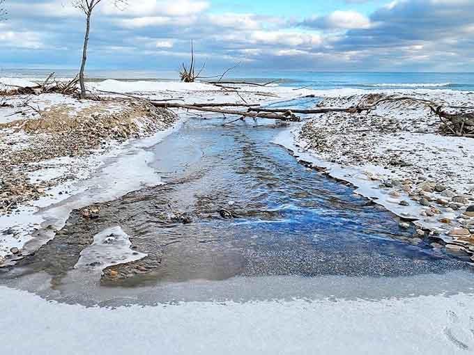 Winter works its magic on Delaware Park, transforming familiar landscapes into crystalline wonderlands worth braving the cold.