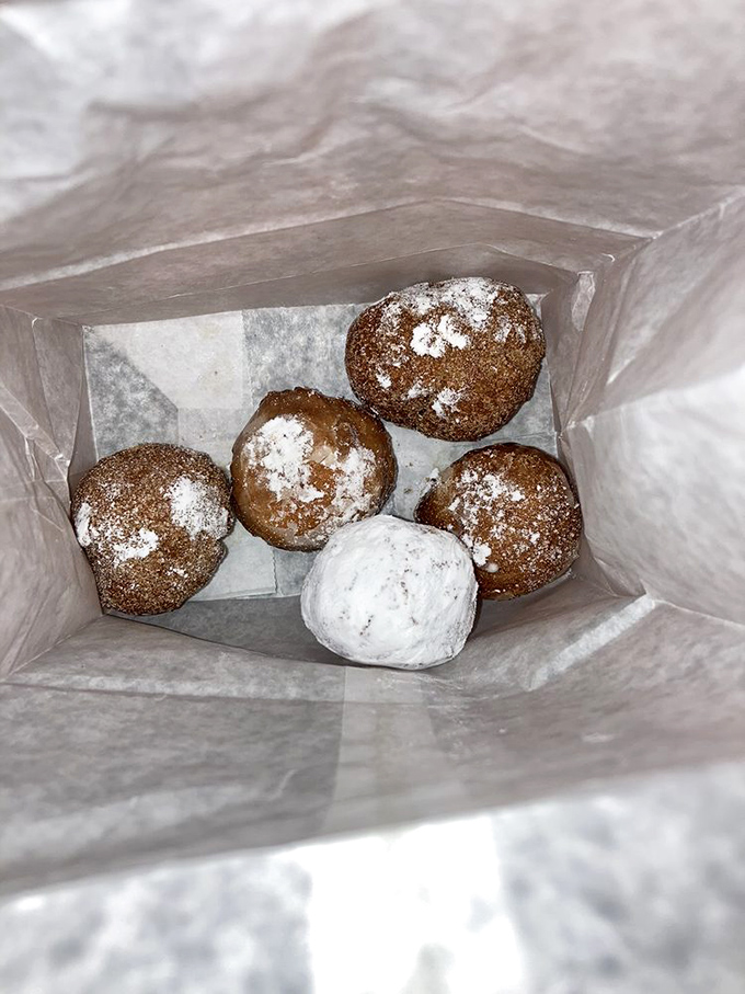 Donut holes that prove good things come in small packages—each bite-sized morsel packs a perfect punch of sweetness and nostalgia.