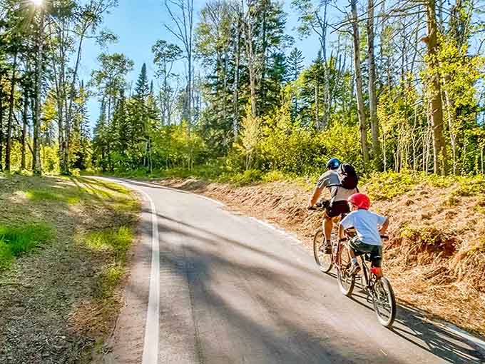 Cycling through this sun-dappled forest corridor feels like pedaling through a living, breathing postcard of the North Woods.