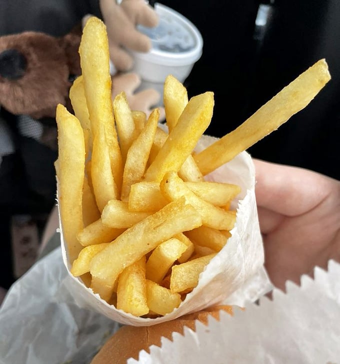 Golden fries that achieve the perfect balance of crispy exterior and fluffy interior, ready for immediate enjoyment.