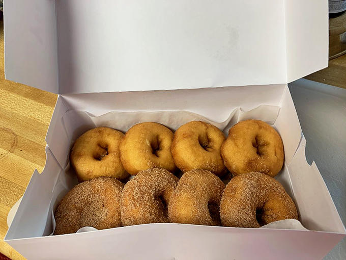 The classic lineup: glazed donuts alongside their cinnamon-sugar cousins&mdash;proof that sometimes the simplest pleasures deliver the most profound satisfaction.