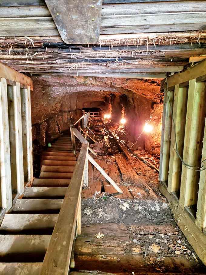 Descending these wooden stairs is like walking backward through time, each step creaking with stories.