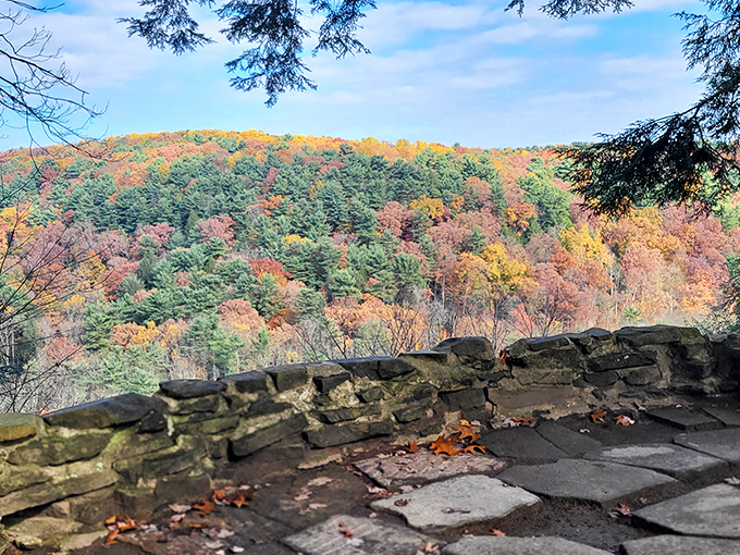 Autumn's fashion show: Fall transforms Mohican's gorge into a runway of fiery colors. Those trees are definitely showing off &ndash; and we're here for every minute of it.