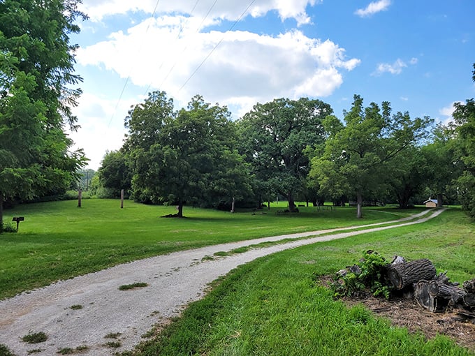 A peaceful country lane winds through verdant meadows, promising the kind of quiet afternoon that city folks dream about.