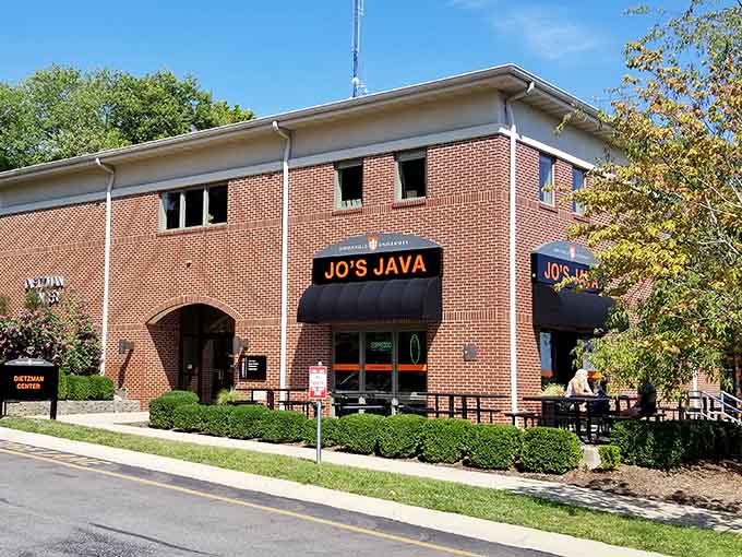 Local coffee shops understand that caffeine is a human right, not a luxury, and they deliver accordingly.