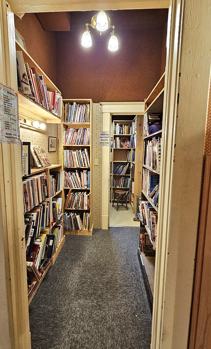 Narrow passages between shelves feel like secret pathways in a literary castle, each turn revealing new worlds waiting to be discovered.