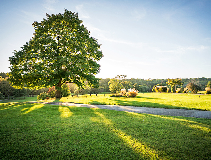 Harrison Park Golf Course unfolds like a green carpet under majestic trees, tempting golfers to test their skills against its subtle challenges.