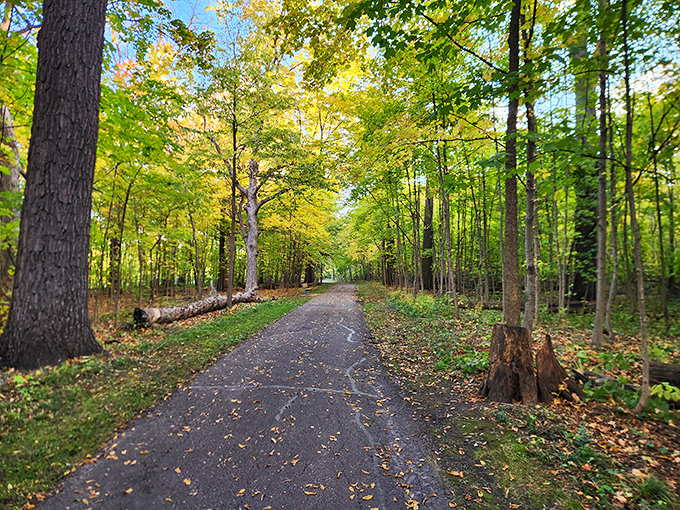 Hopkins Park's winding trails and lush greenery offer a peaceful retreat from daily stresses, where dappled sunlight creates natural artwork on forest floors.
