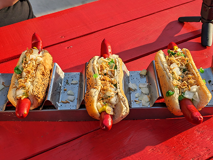 Three beautifully assembled hot dogs resting on the signature red picnic tables, their toppings artfully arranged and ready for that first perfect bite.