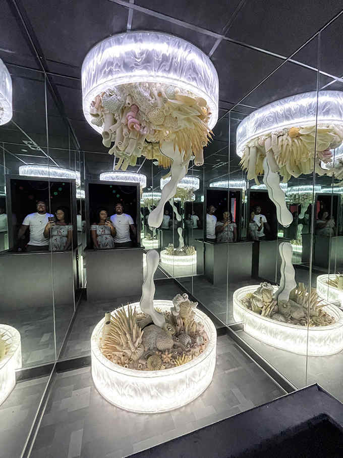 Step into this mirrored coral chamber and discover what it feels like to be inside a kaleidoscope that's having an existential crisis.