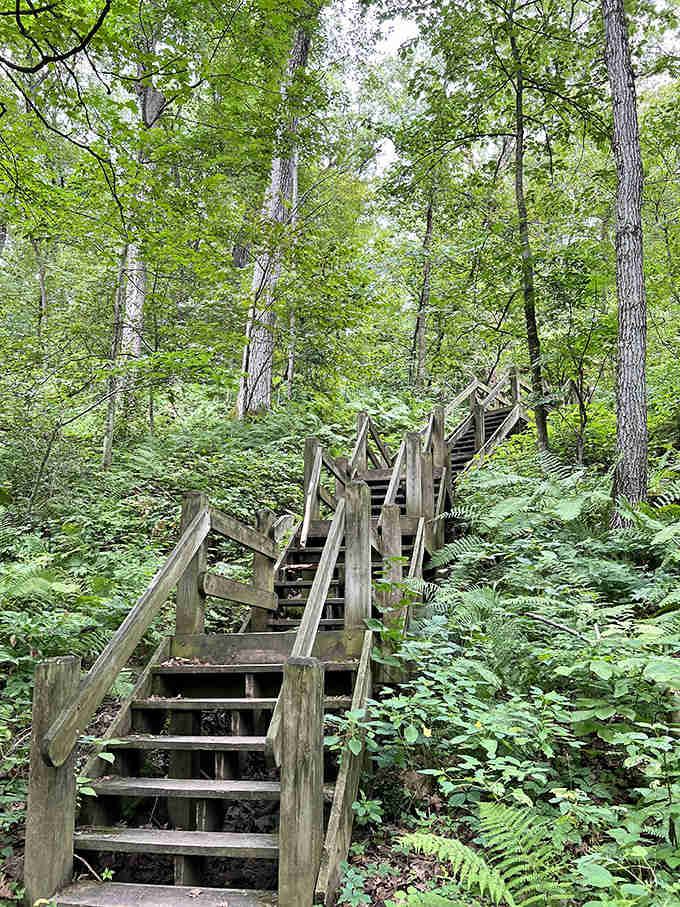 These weathered wooden steps have carried thousands of hikers through the seasons, each footfall adding to the park's living history.