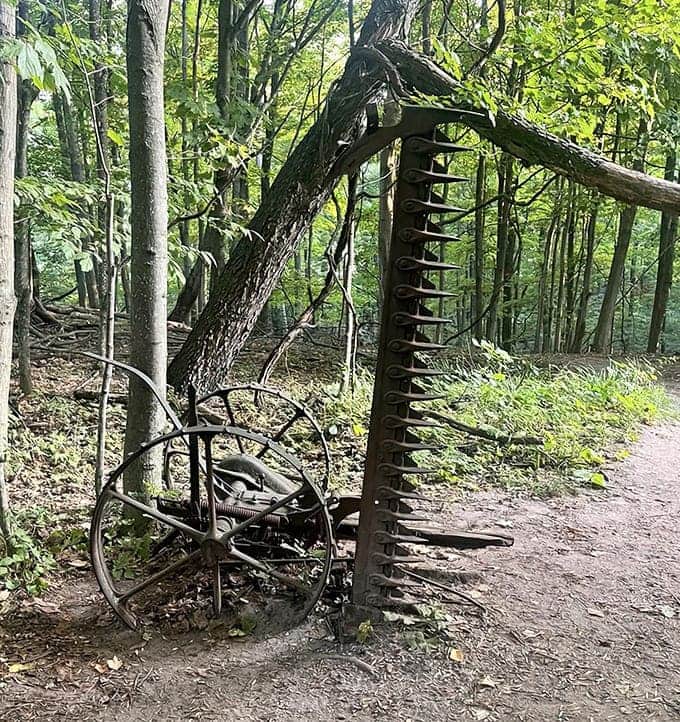 Old farm equipment along the trail tells stories of the area's agricultural past, when this land served different purposes before becoming everyone's favorite scenic overlook.
