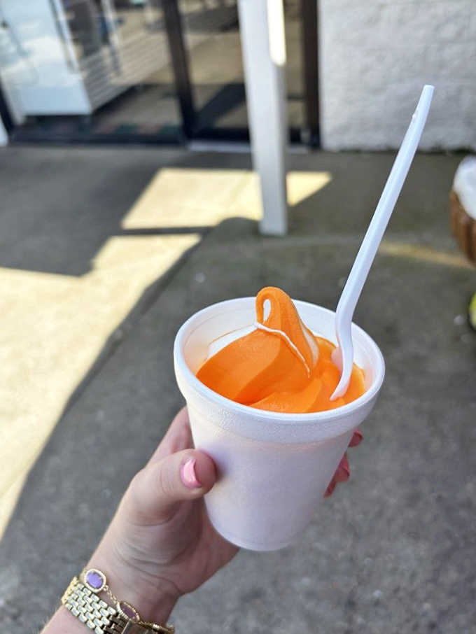 The classic orange and vanilla swirl brings creamsicle dreams to life, a refreshing throwback that never goes out of style.