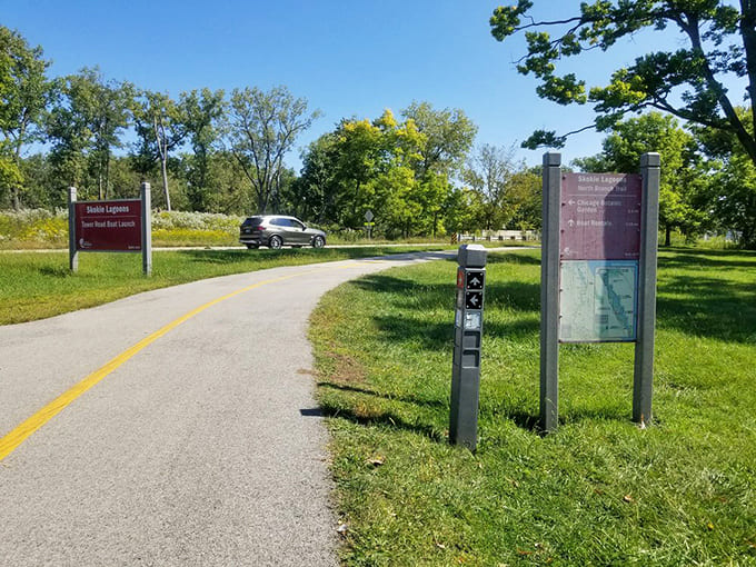 Paved trail: The yellow-striped path cuts through summer's green abundance, inviting cyclists and walkers to discover what waits around the bend.