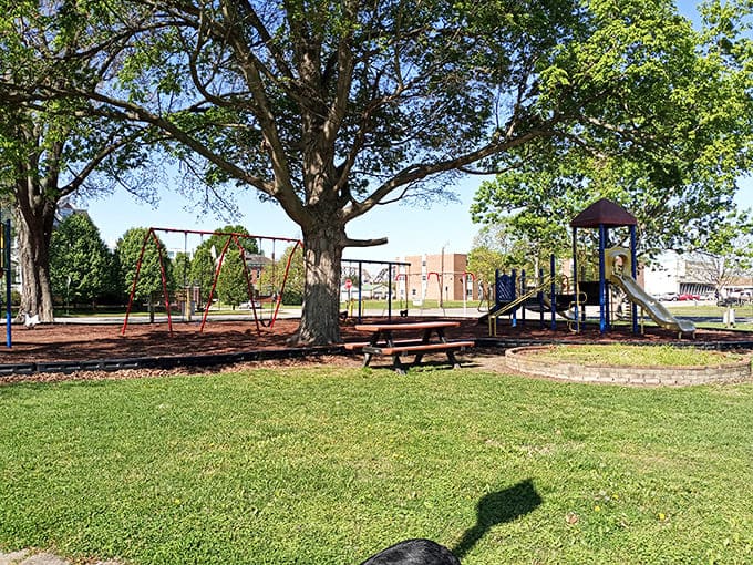 This inviting playground provides a perfect spot for families to unwind while the kids burn off energy between superhero adventures.