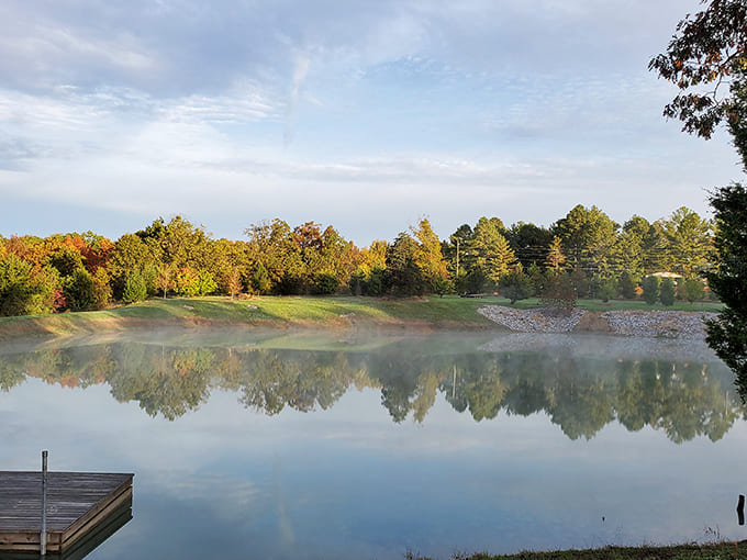 Dawn breaks over the pond, creating mirror-perfect reflections that would make professional photographers weep with joy.