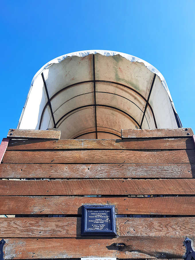 The wagon's impressive canvas top stretches over wooden hoops, just like the real pioneer wagons – only this one could fit a pioneer family reunion.