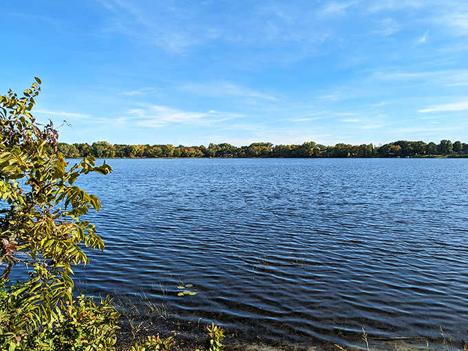 Nature and serenity combine at the Rotary Nature Preserve, where Minnesota's natural beauty takes center stage.