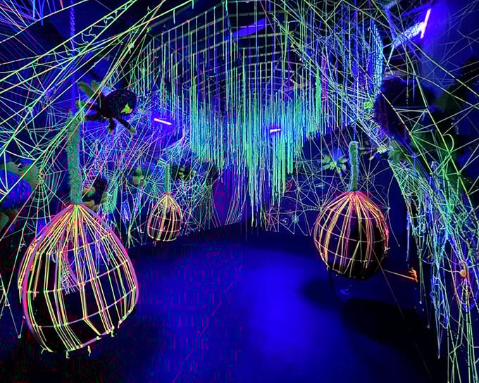 Suspended in a forest of light, these neon strings create a luminous jungle that responds to your every movement.