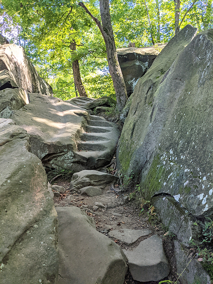 Nature's stairmaster – these ancient stone steps weren't carved for human convenience, but they sure make for a more interesting journey through geological time.