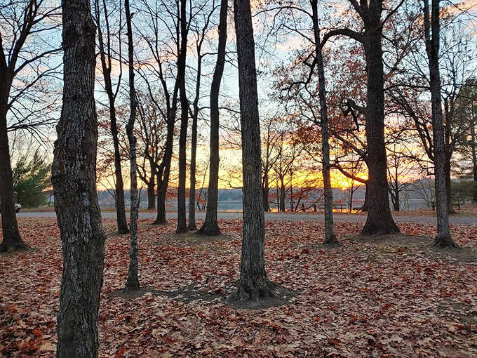 Nature's nightly show begins as the sun dips below the treeline, painting the sky in colors no artist could fully capture.