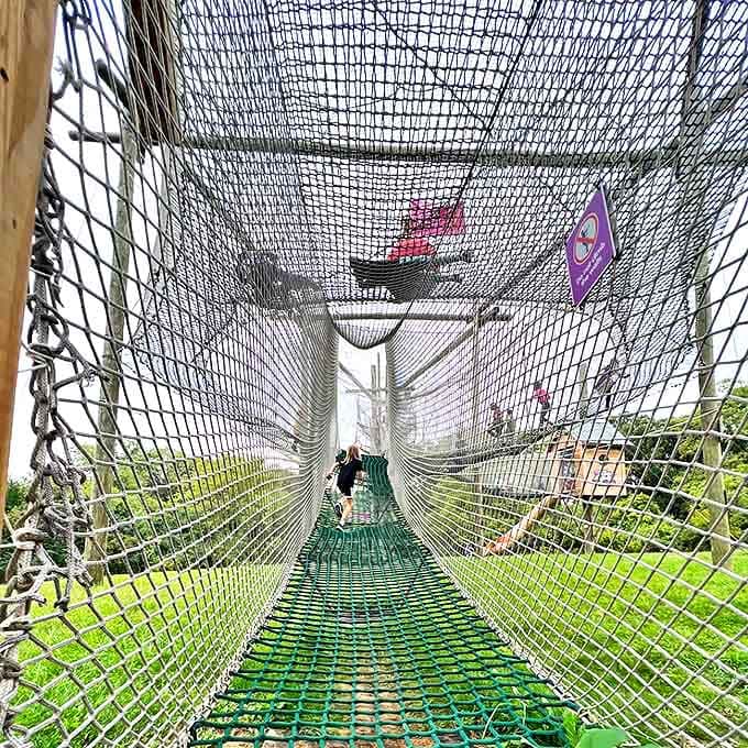 The ultimate trust exercise: crossing this swaying bridge requires equal parts courage, balance, and a healthy disregard for your brain screaming "WHY?!"