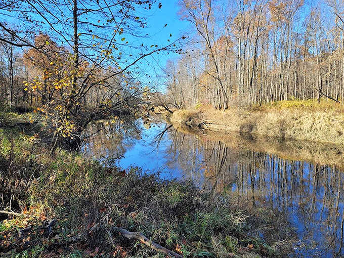 Upper Grand River Metropark offers serene waterways perfect for kayaking and reflection. Nature's mirror shows off Ohio's understated beauty.