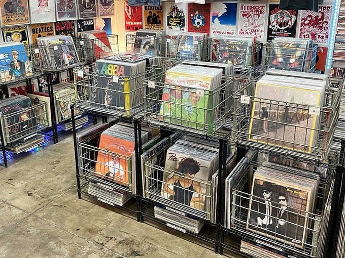 Analog heaven for music lovers &ndash; where forgotten B-sides and rare pressings await the discerning collector's touch.